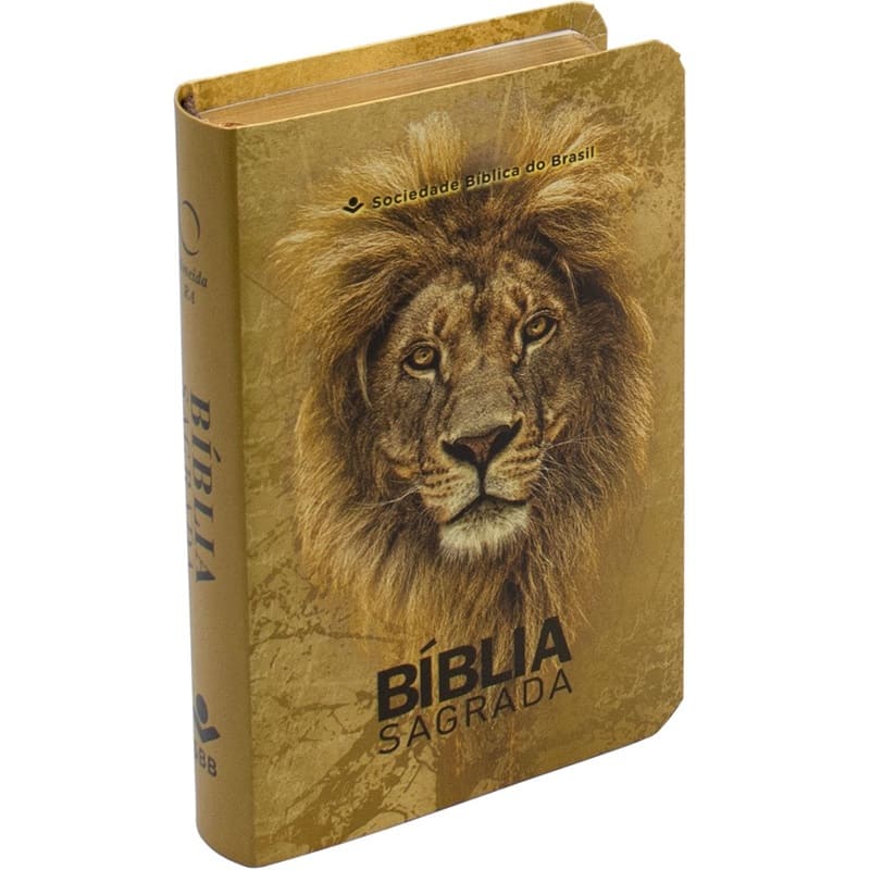 Rad11-Jovem – Bíblia Edição De Bolso – Letra Normal – Capa Ilustrada ...